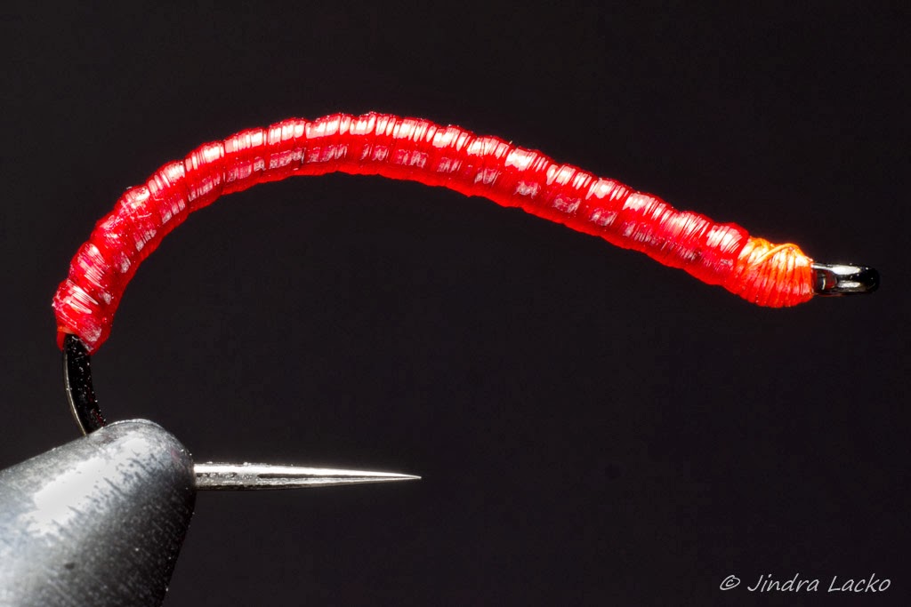 Grayling on the Fly: Bloodworm