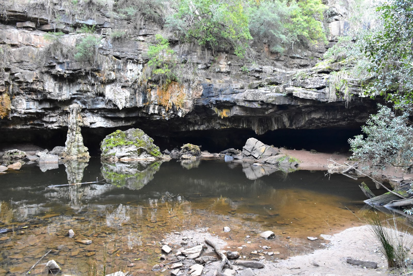 Goin' Feral One Day At A Time: Den of Nargun, Mitchell River National ...