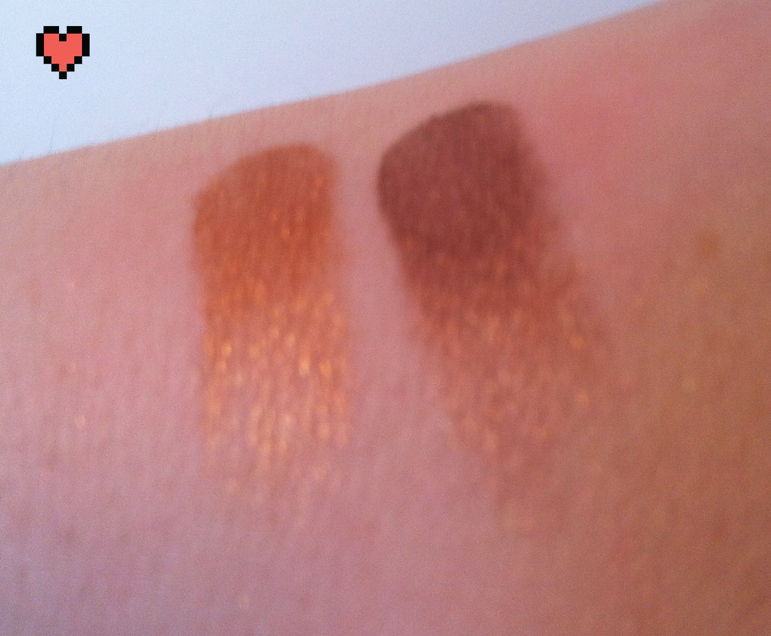 Beauty Cat Castle: Review: Models Prefer Eyeshadow in Bronzed Belle Duo