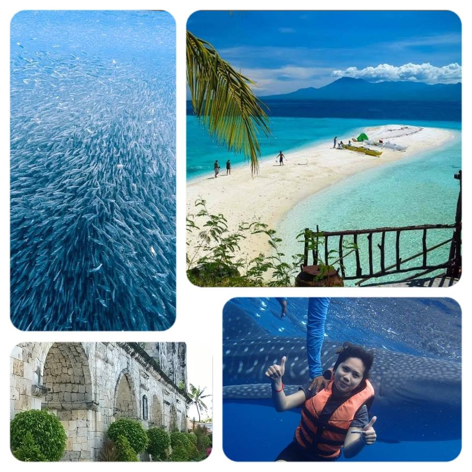 Cebu: CEBU DAY TOUR PACKAGE-JOINER TOUR (JAN.-DEC. 2017)
