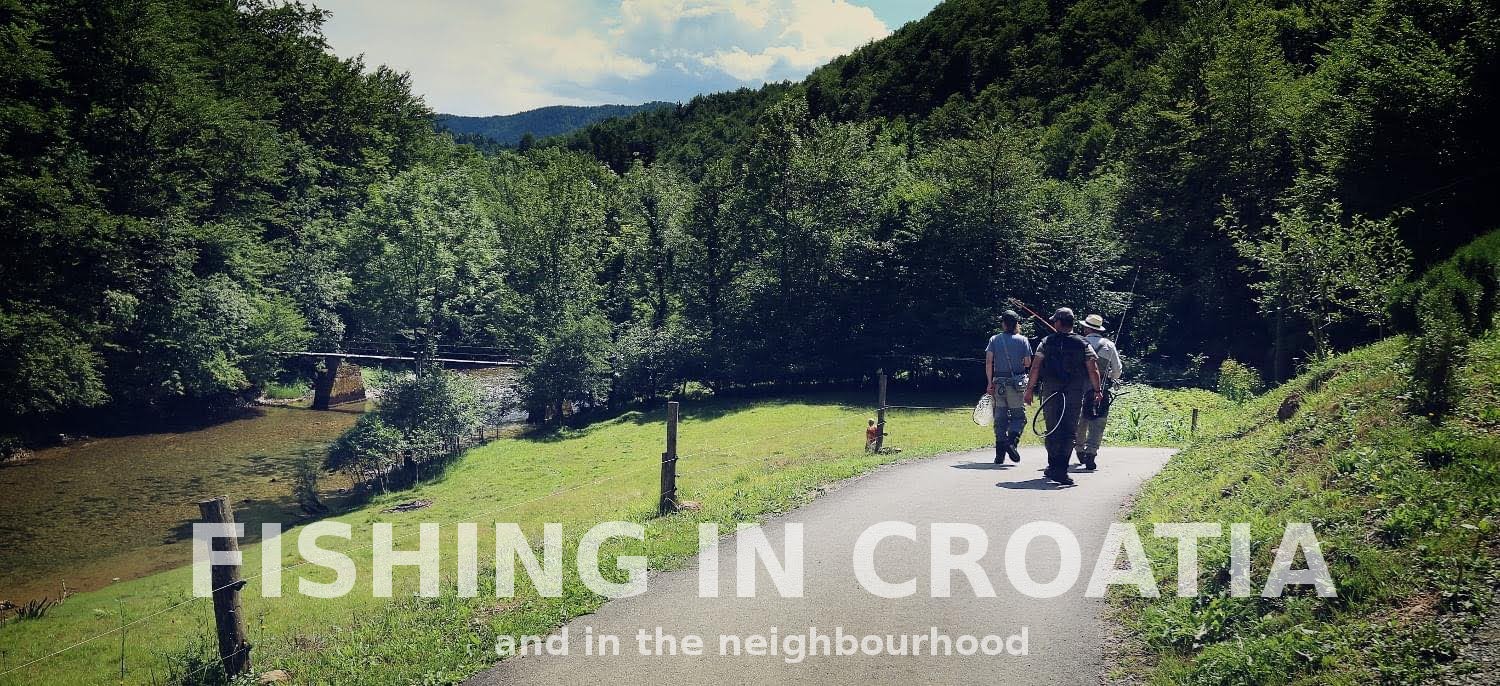 Fishing In Croatia (and in the neighbourhood): Bluefish from the Adriatic