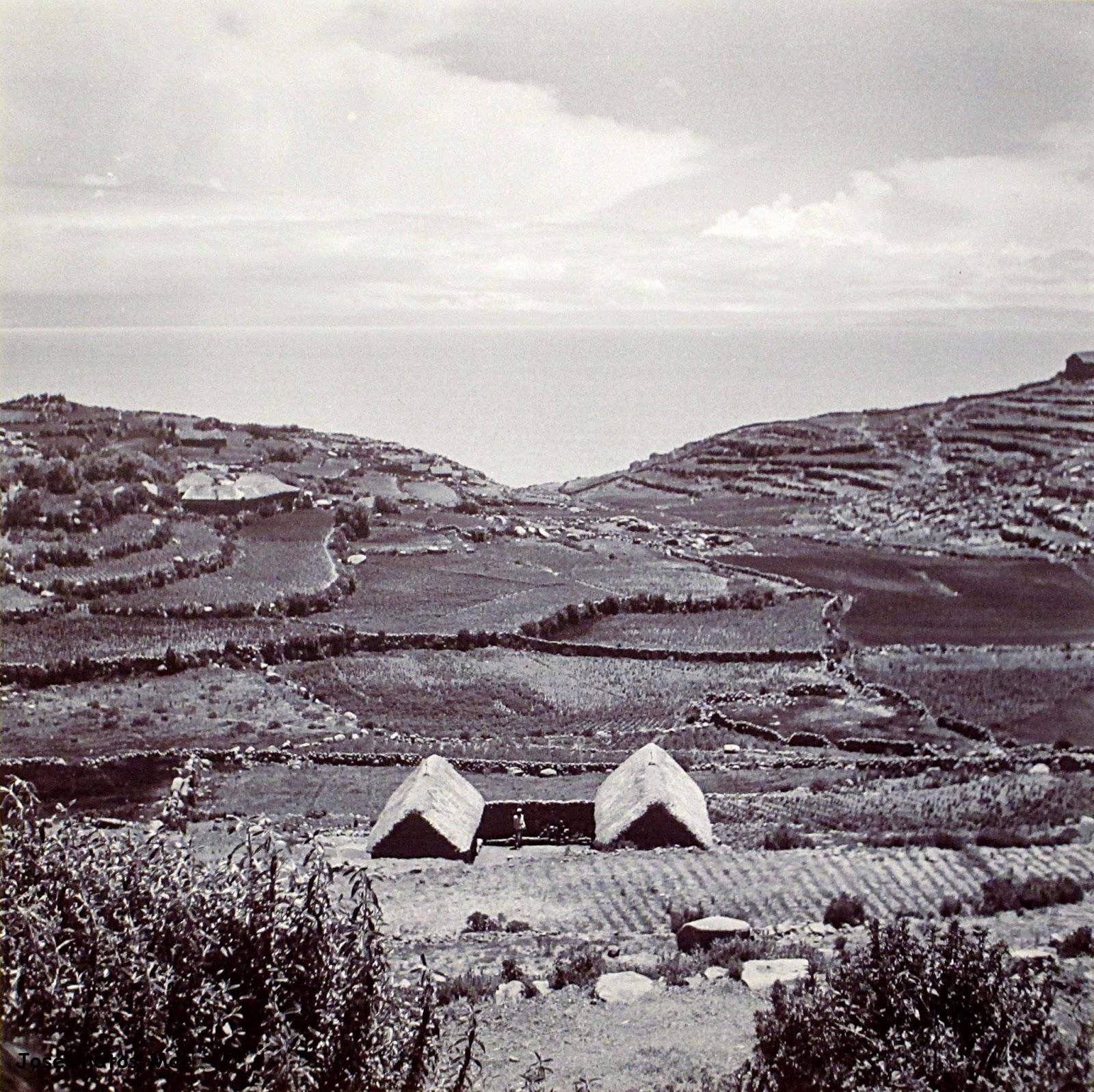 FORO PERUANO DE LAS ARTES: JOSÉ MATOS MAR
