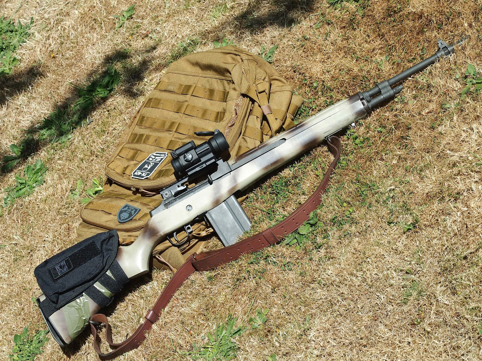 Mister Donut's Firearms Blog: M14 with Aimpoint PRO