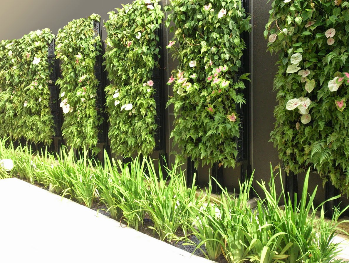 World Class Green Wall Vertical Garden by Technic Garden and Landscape ...