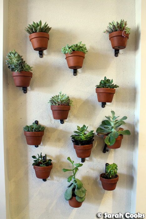 Sarah Cooks: Third Chapter, Eltham