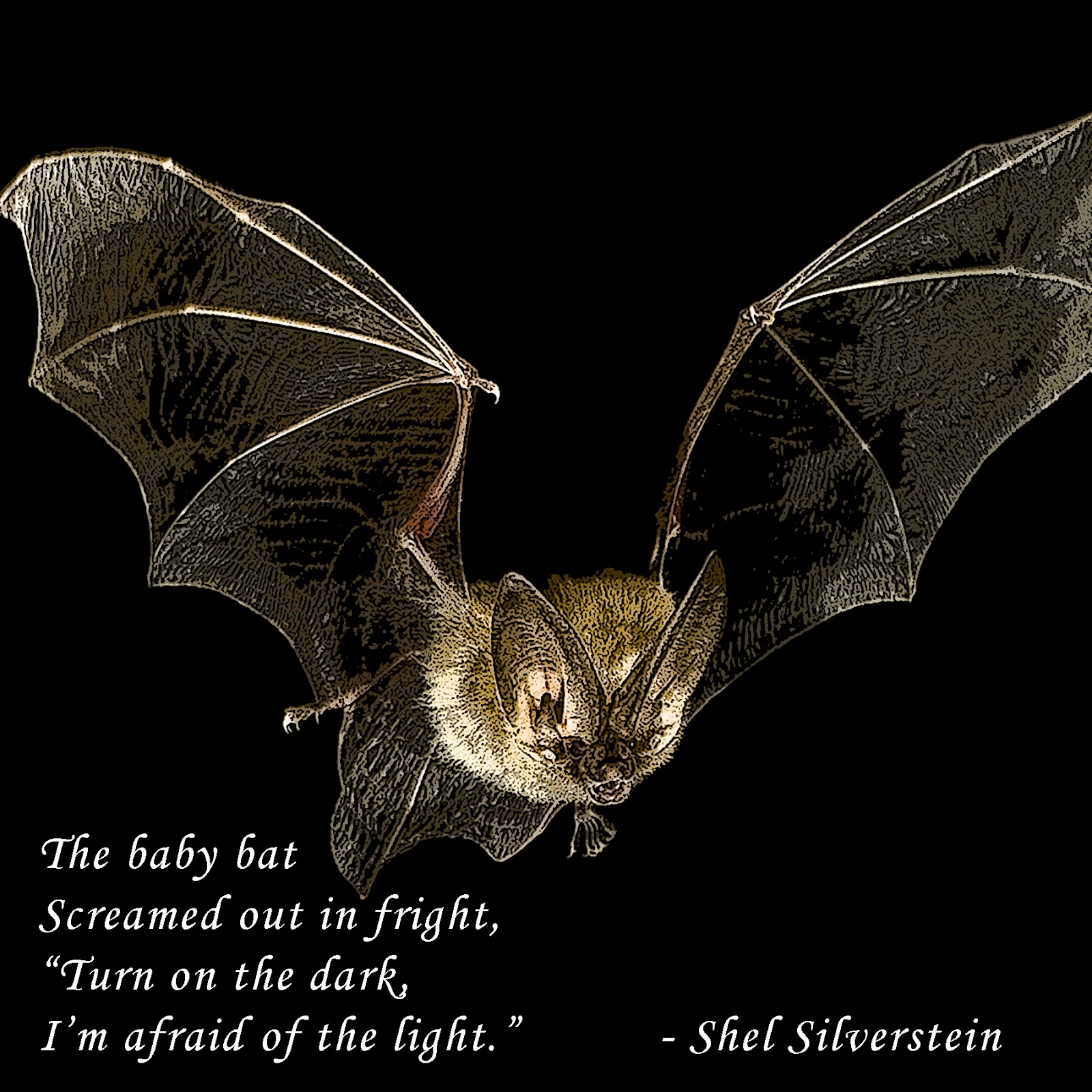 EHAG Emporium: The Turn on the Dark August EHAG Emporium