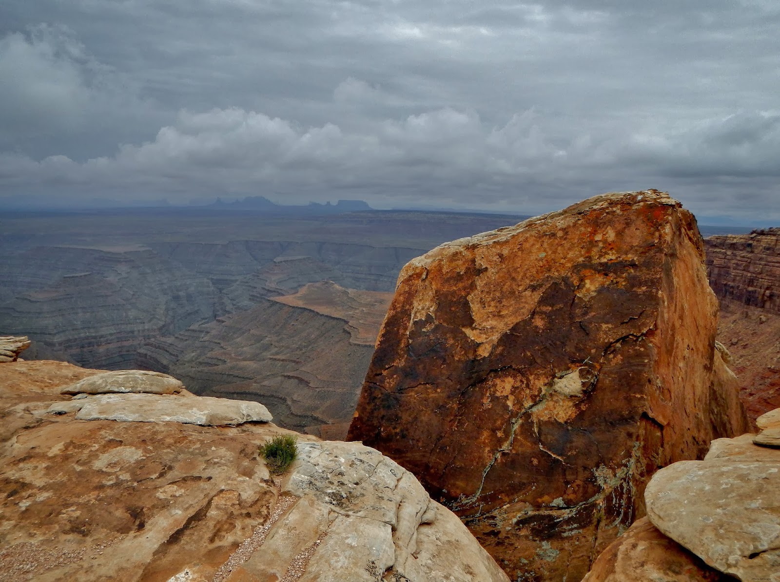The Southwest Through Wide Brown Eyes: Part One of Route 261 Utah ...