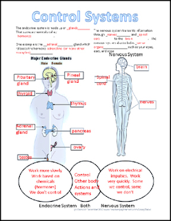 The Best of Teacher Entrepreneurs IV: FREE SCIENCE LESSON - “Nervous ...