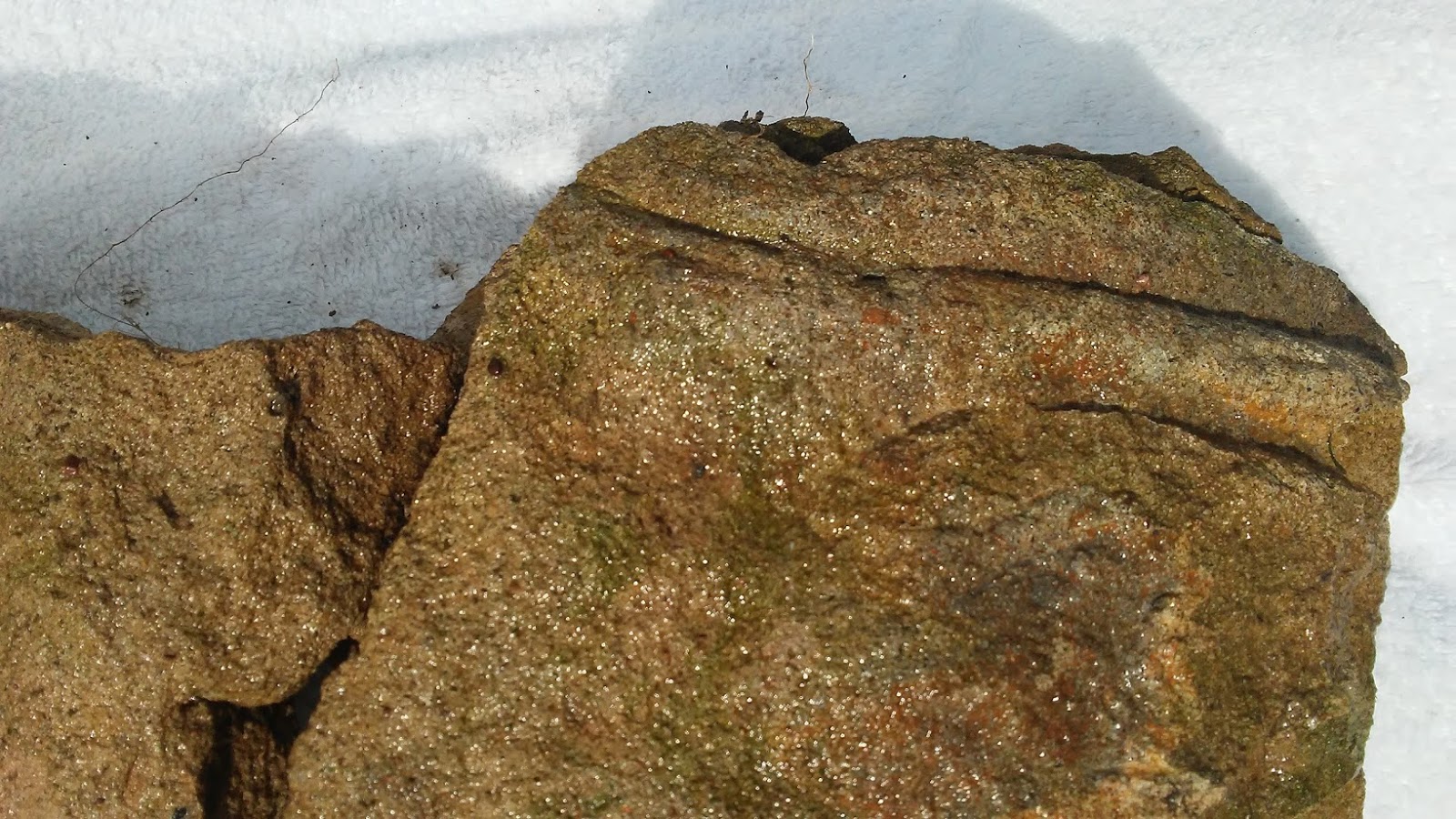 Archaeology of Portable Rock Art: New Tennessee site with portable rock ...