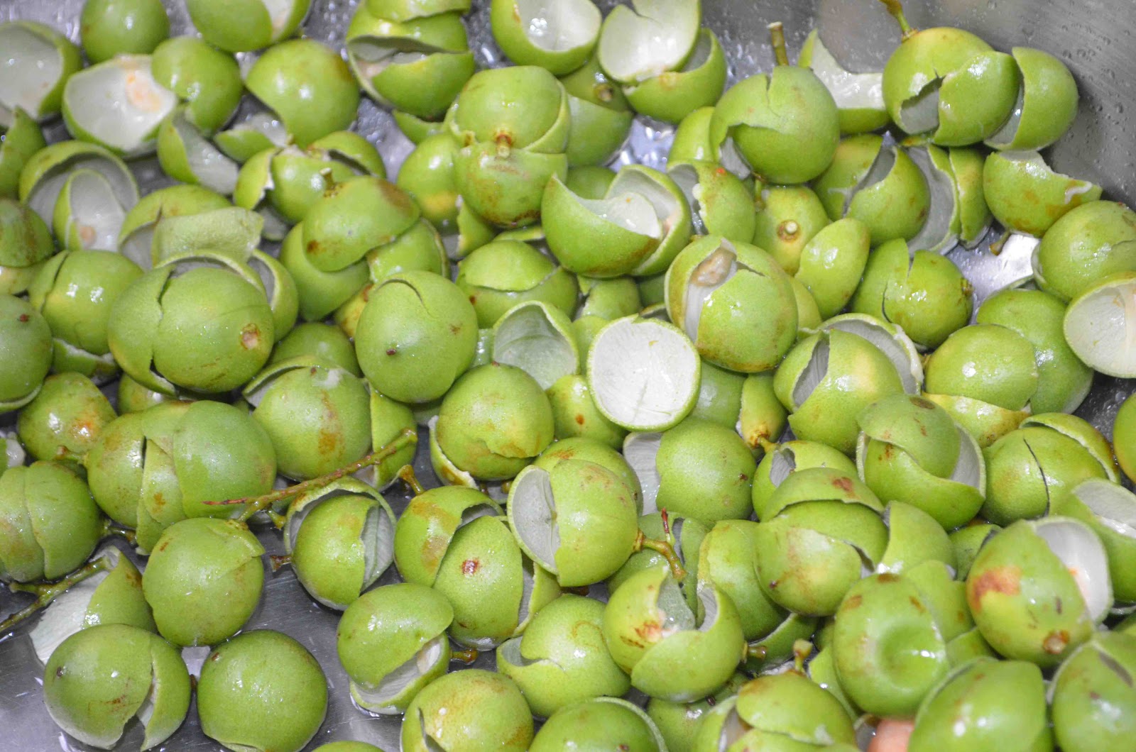 Caribbean Chic Living by Cristina Canizares: Genip Harvesting & How to ...