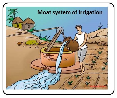 B for Biology: Crop Production and Management (Part II)