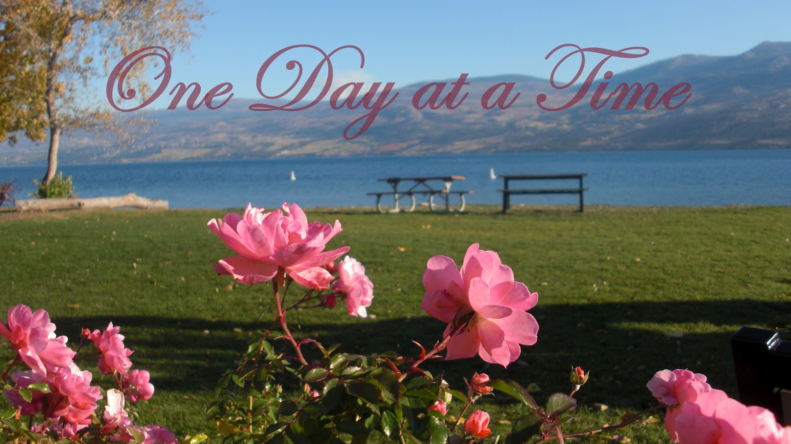 Recovering From...: ODAAT