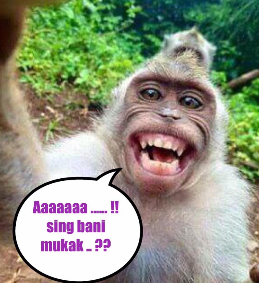 Kumpulan Meme Comic Bali