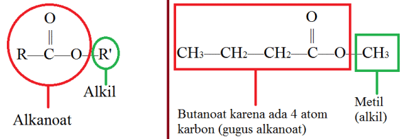 Belajar Tata nama Senyawa Ester