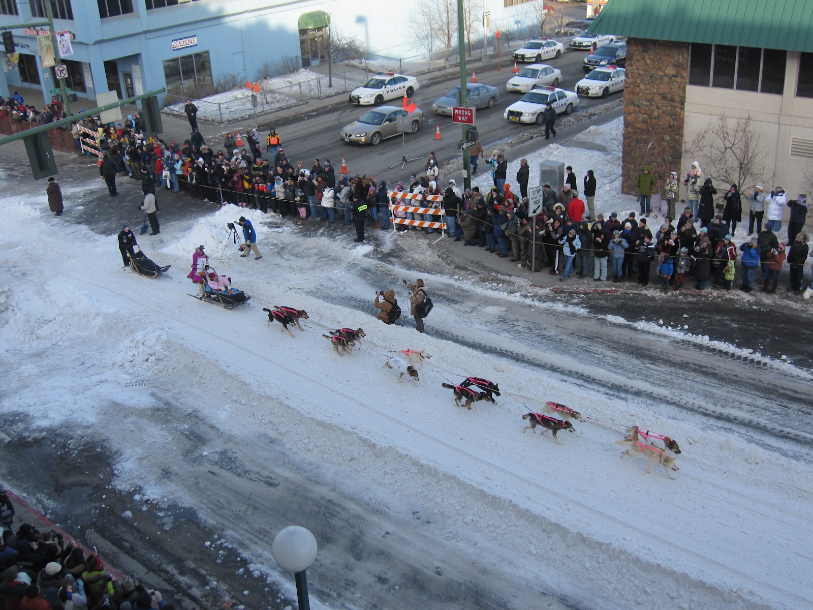 Iditarod: The Last Great Race | To & Fro