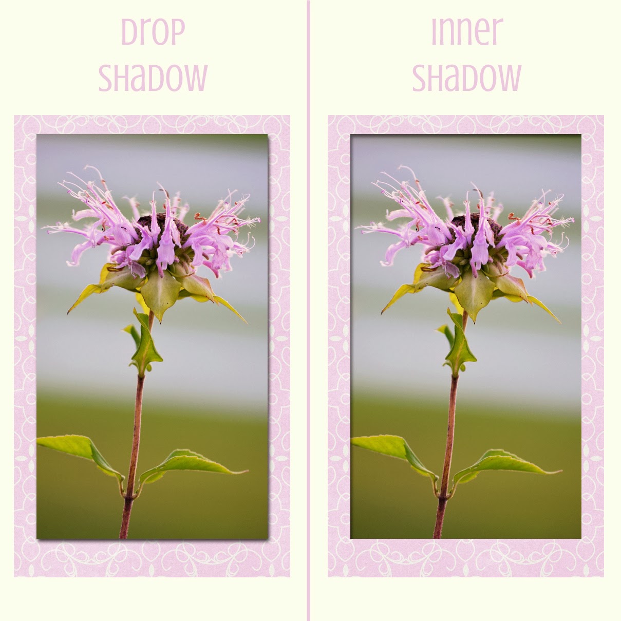 Mandys Lovable Designs: Quick Tip: Drop Shadow vs Inner Shadow