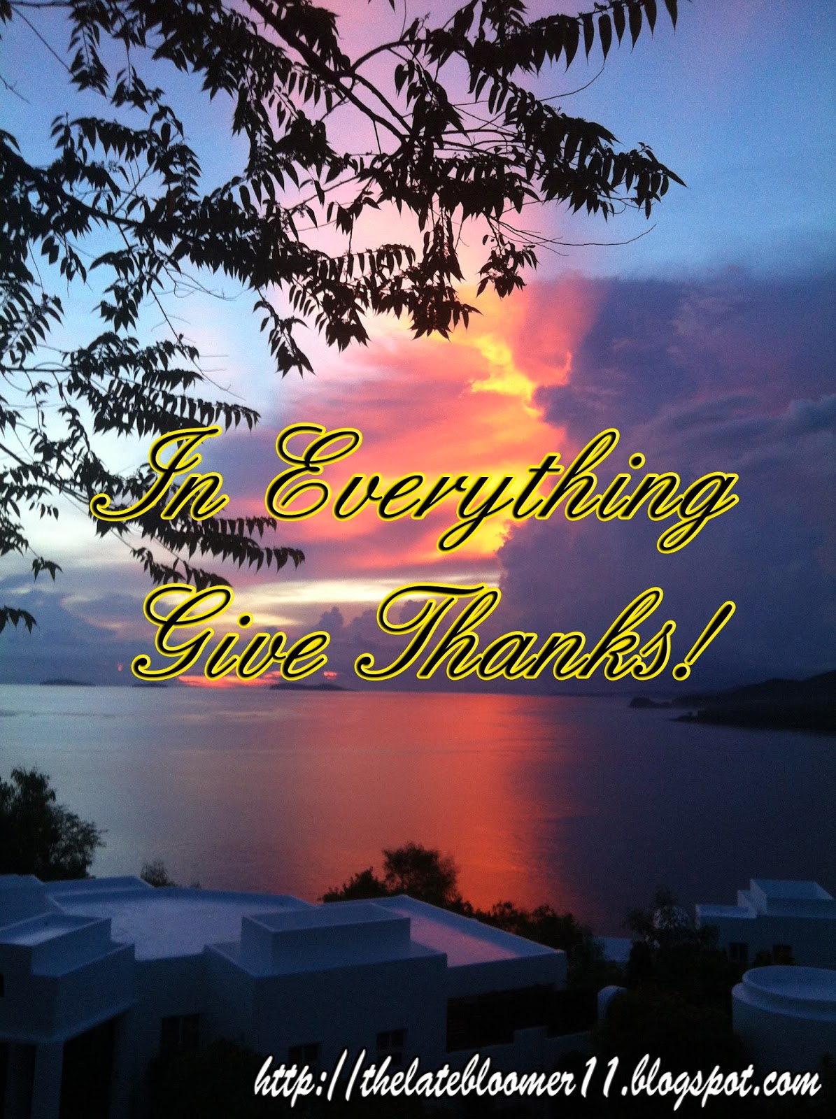 Serenity Sunday: In Everything Give Thanks! (23rd February 2014 ...