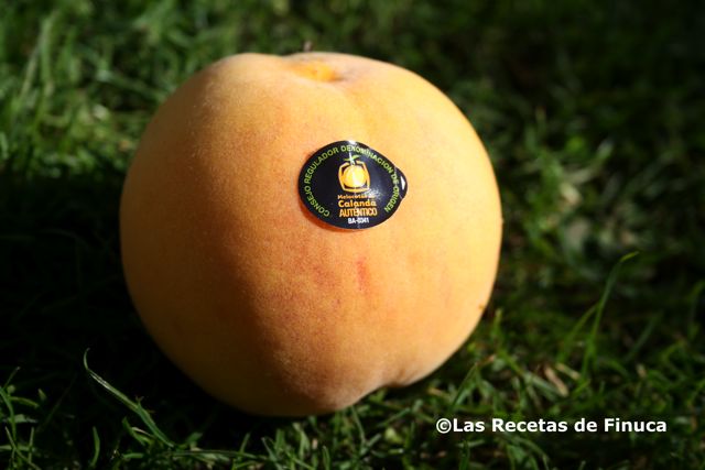 Las Recetas de Finuca: Batido de melocotón de Calanda - Para la Repesca ...