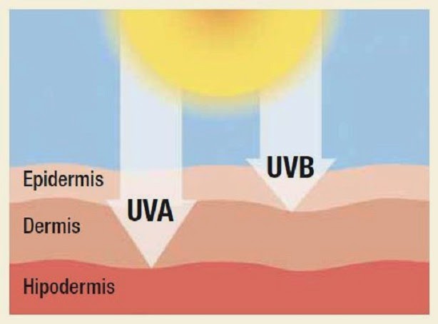 Tecnología y Comunicación : Rayos UV, X y GAMMA.