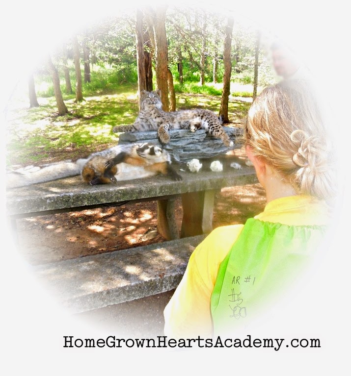 Home Grown Hearts Academy Homeschool Blog: PBS Kids ~ OETA ~ Explore ...