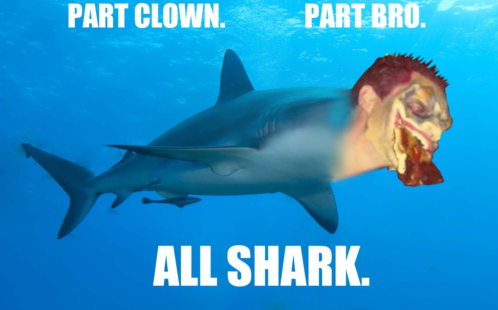 Christina's Sketchblog: Happeh Halloween + Clown-Shark