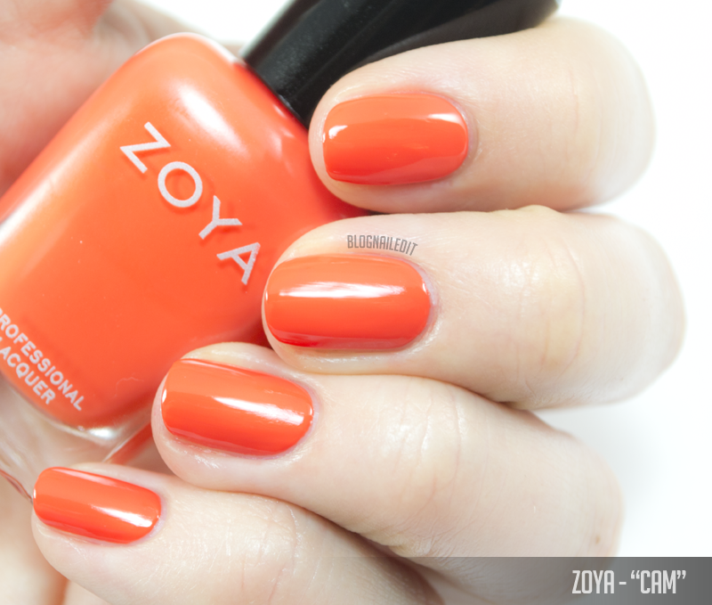 Nemo, Dory, and Zoya Sunsets & Seashells Swatches - Nailed It | The ...