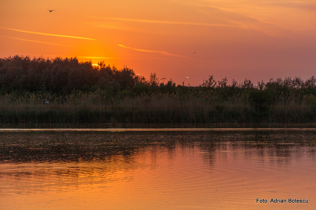Poveştile mele: Locuri de vizitat in Bucuresti – Lacul Morii si ...