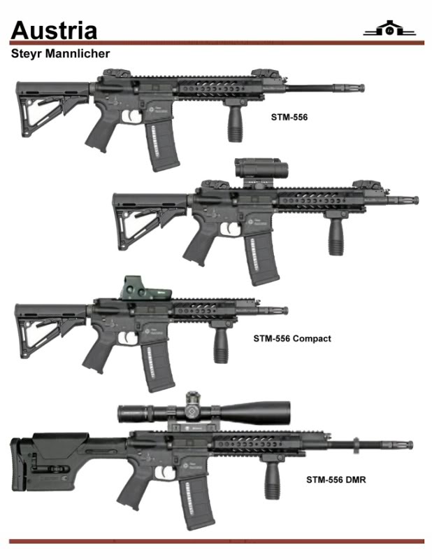 Defensa y Armas: Carabina: Steyr-Mannlicher STM-556, el M4 austríaco