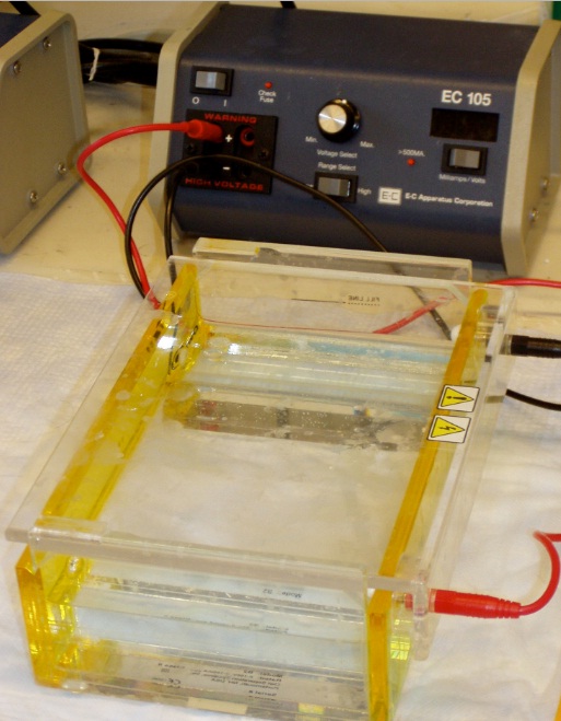 Elektroforesis sebagai awal menuju pemisahan modern - Web HMP ...