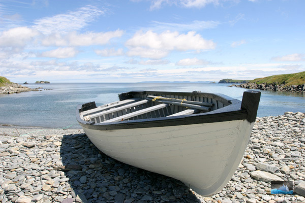 Freshwater Bay: Memories of Silver Fox Island