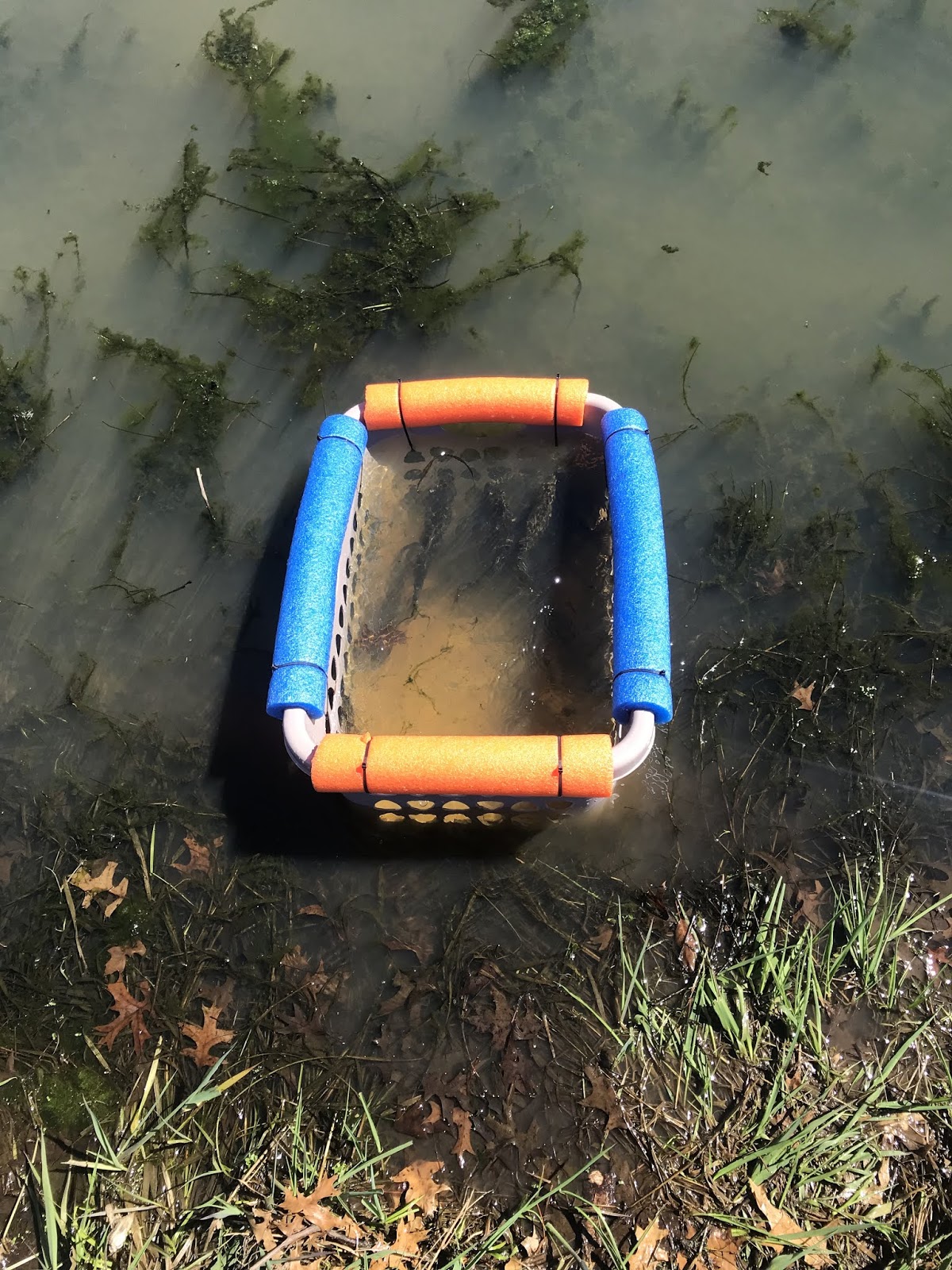 The Show Me Fly Guy: My New Stripping Basket/Livewell