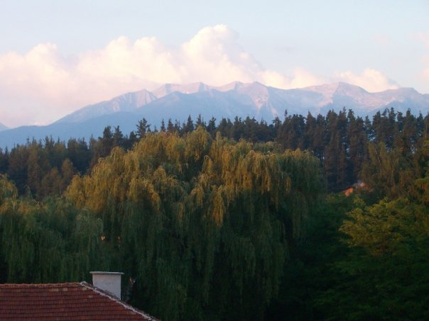 Back in the Branch: Last Month in the Village!