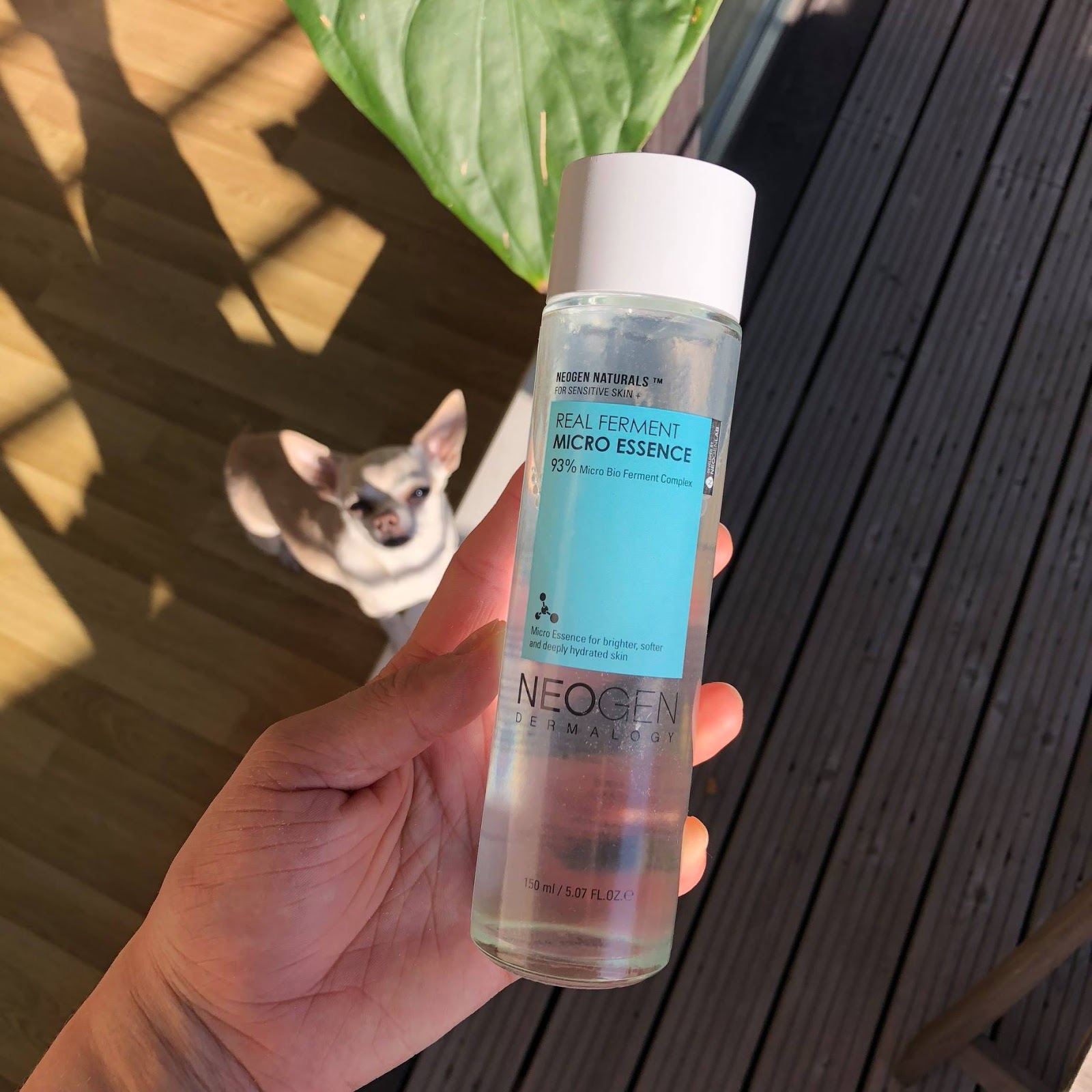 NEOGEN Real Ferment Micro Essence