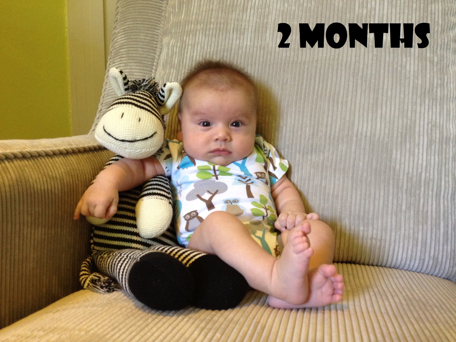 Hoping for Baby B: Two Months