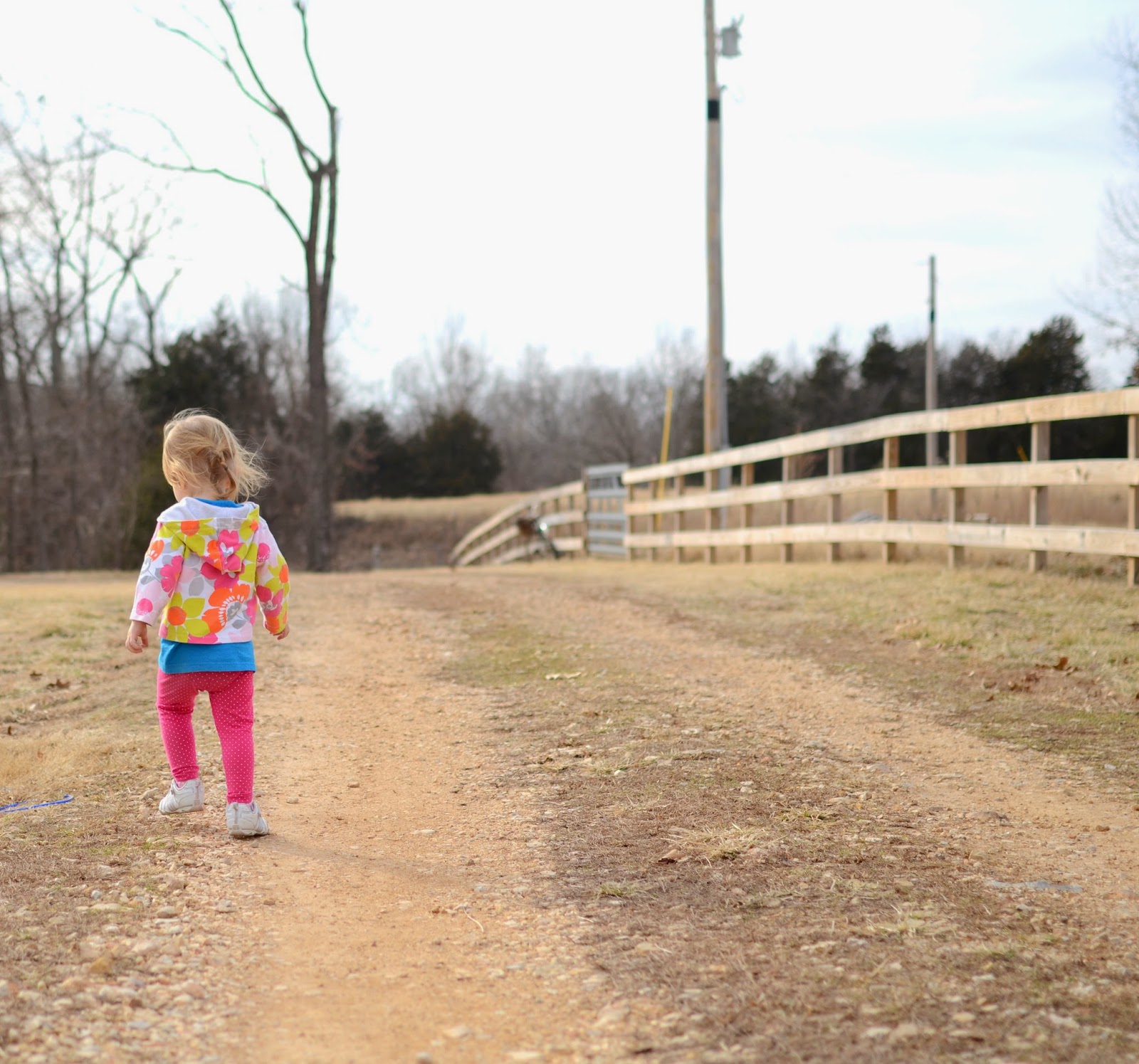 The Rosy Life: Hi spring.
