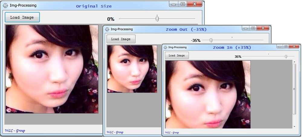 C# - Zoom In/Out Image using Graphics | WLC_Programming Knowledge