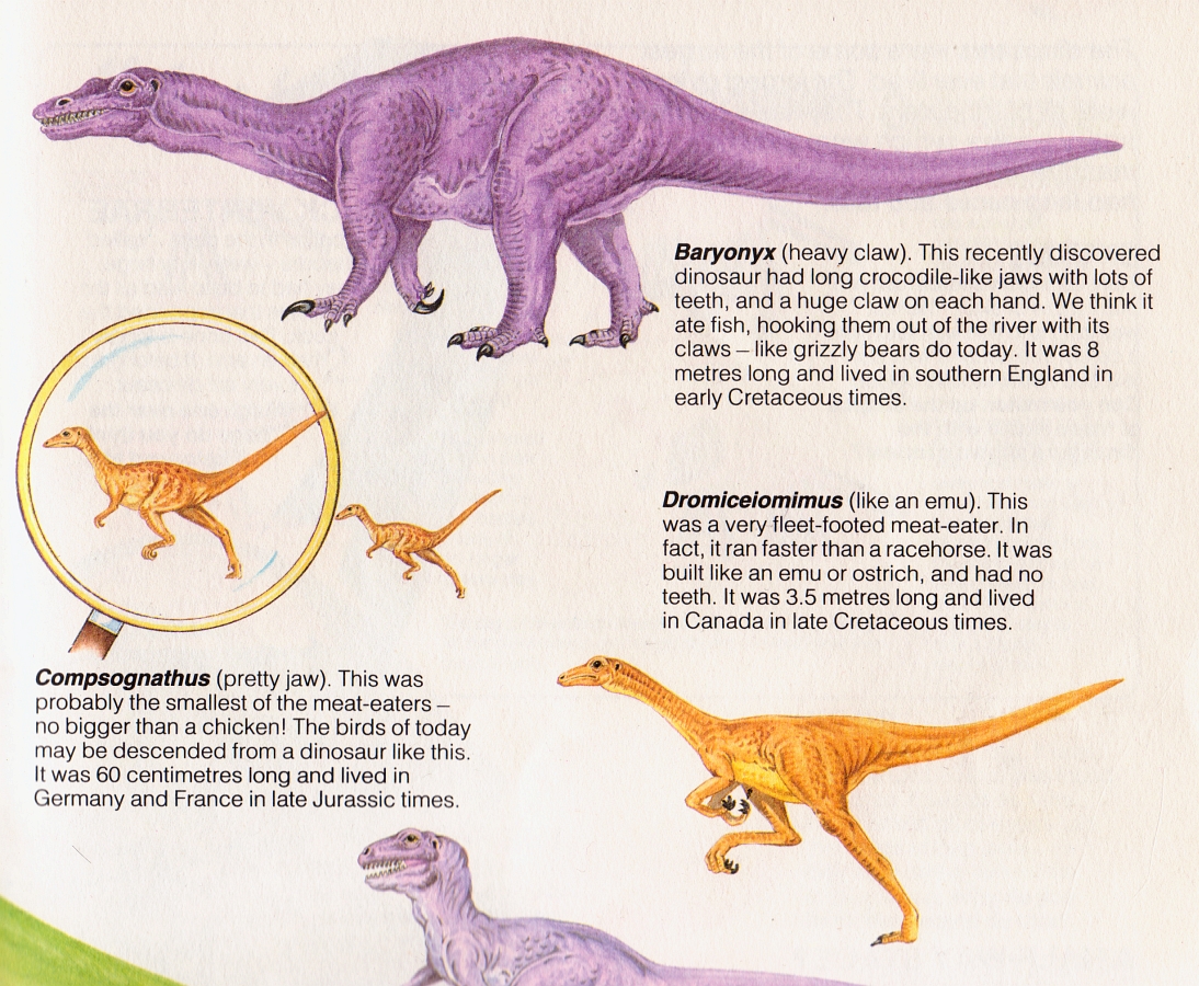 Love in the Time of Chasmosaurs: September 2013