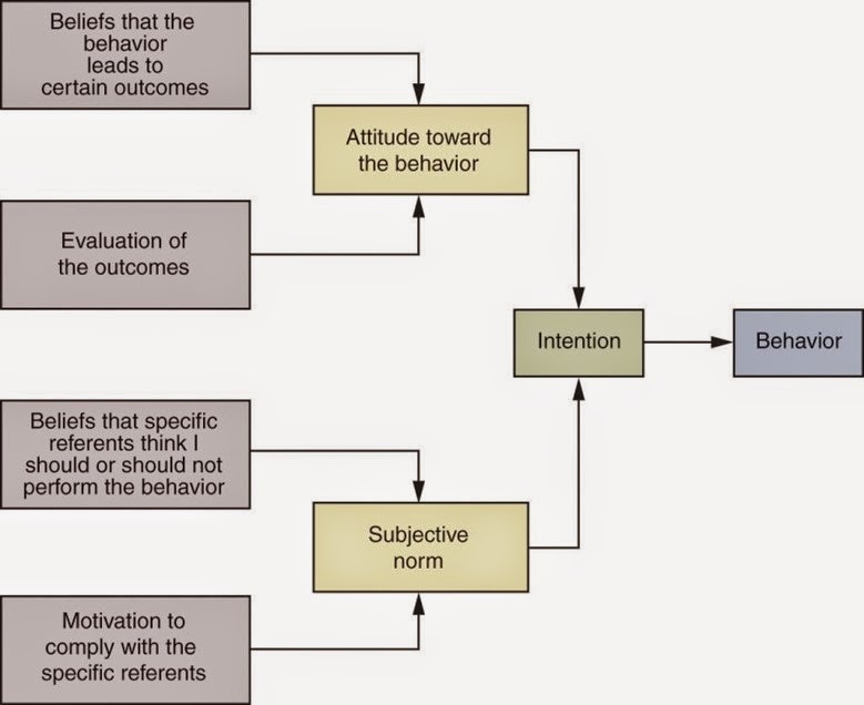 The Awakener: Mutli-Attribute Attitude Models