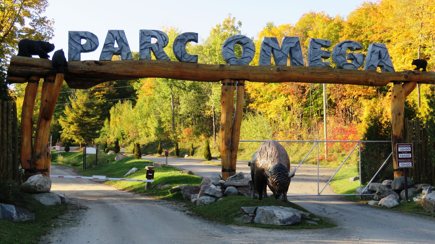 One Tank Trips: The Foxes meet the animal critters at Parc Omega, Quebec