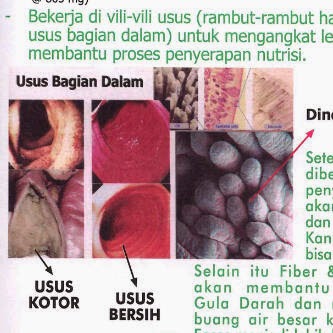 Diet Sehat Tanpa Obat : TANDA USUS KOTOR