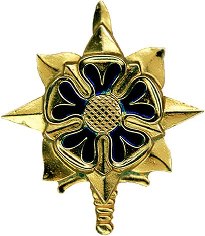 ARMAS Y SERVICIOS DEL EJERCITO : INTELIGENCIA MILITAR