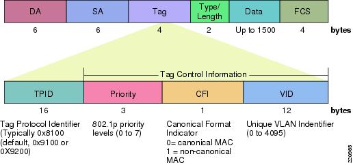 Bridging and Provider Bridging