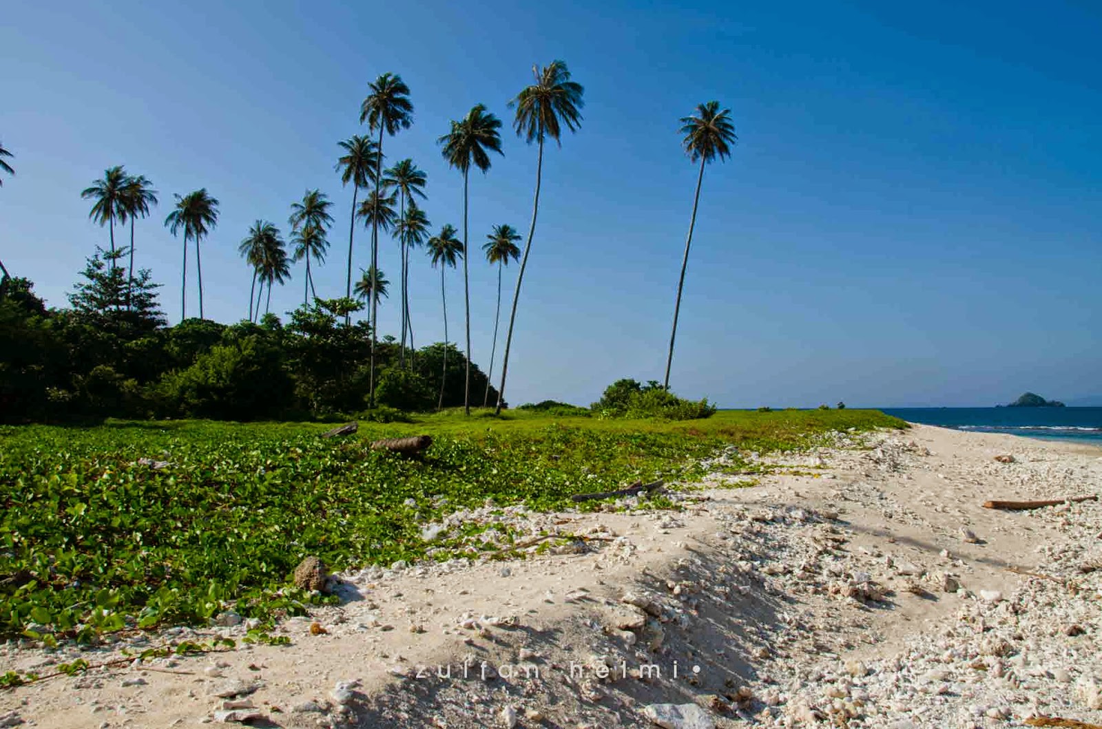 Enchanted the Beauty of Pulau Rusa