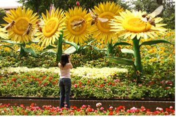 Sentosa Flowers - Exotic Travel Destination