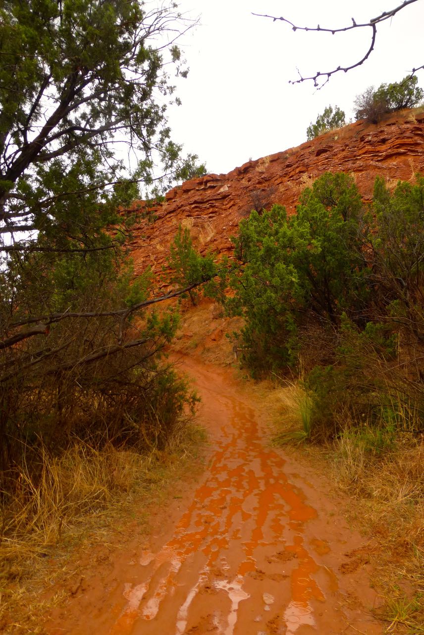 Greg's Running Adventures: Comanche Trail Palo Duro Canyon