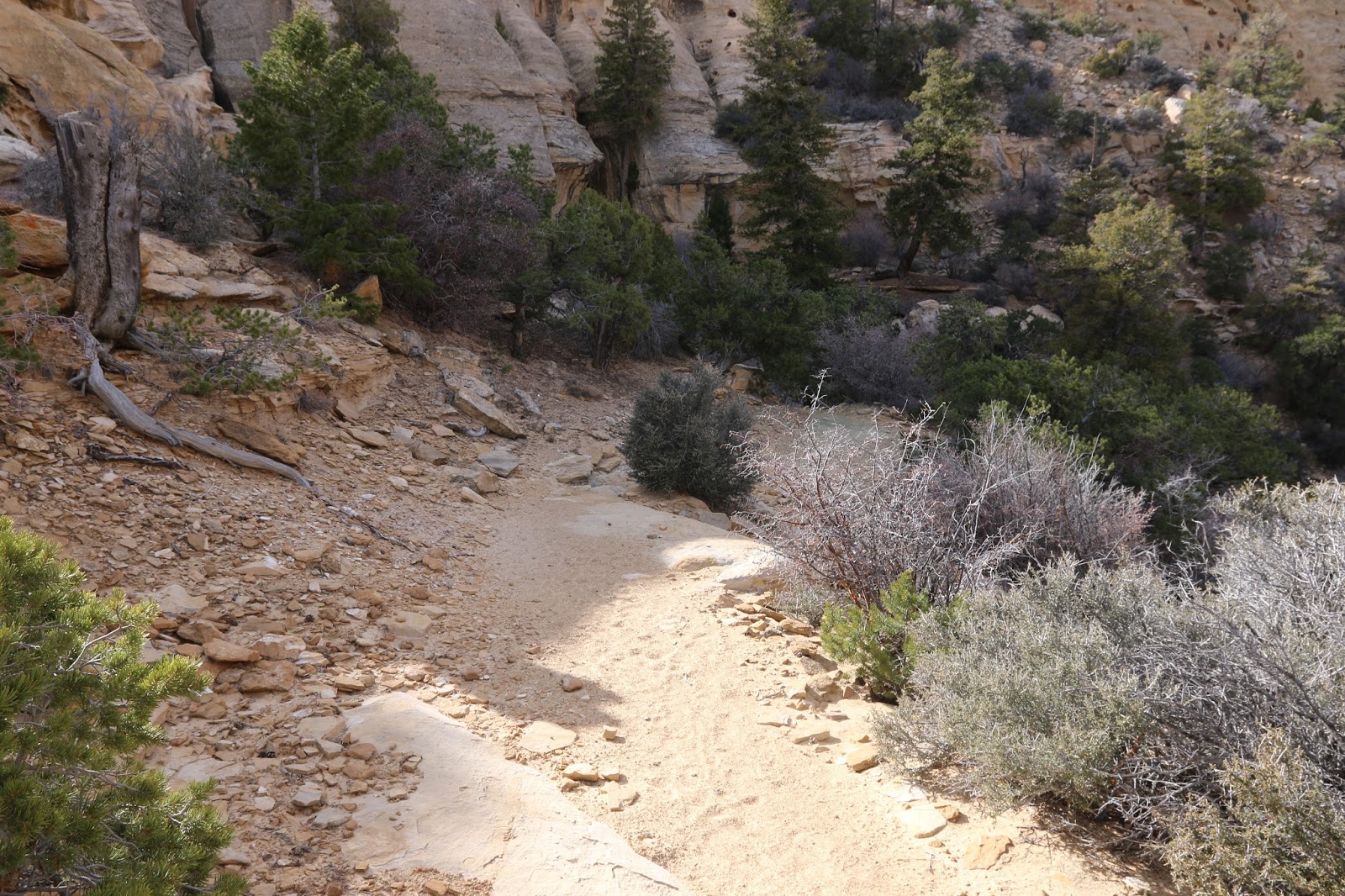 gjhikes.com: Icebox Foot Trail