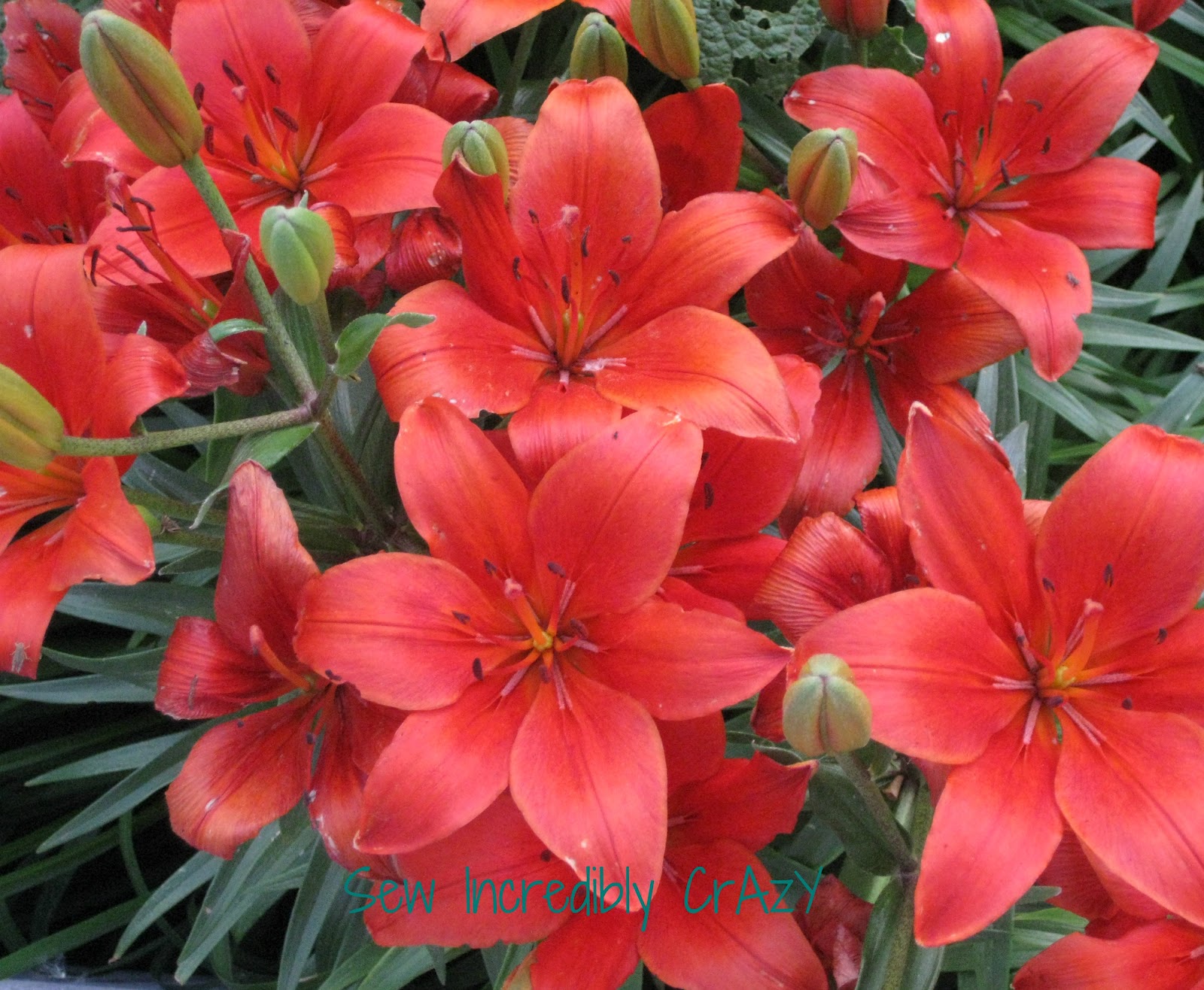 Sew Incredibly Crazy: Kiddo Messenger Bag