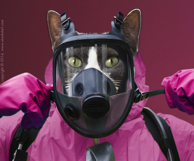 A Tonk's Tail... err, Tale...: Cat Art Hop: The Making of a Hazmat Cat