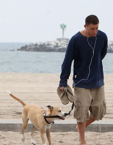 VJBrendan.com: Dudes With Dogs - Channing Tatum