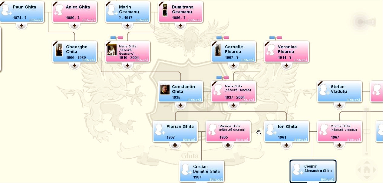 Al33cs ®: Arbore Genealogic
